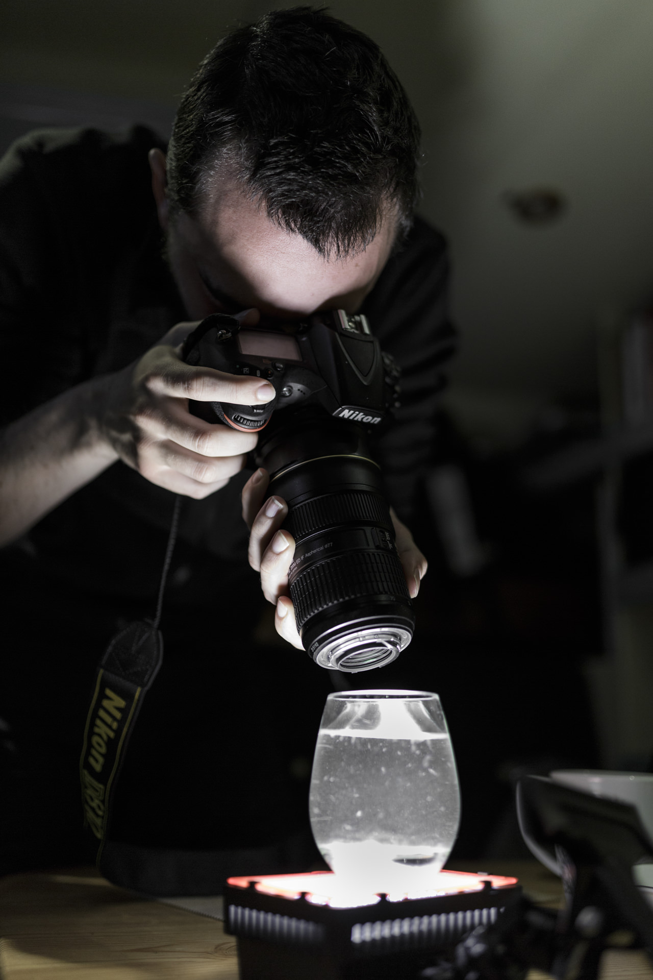 Zooplankton: life in miniature - Arctic Mission - 90 North Unit
